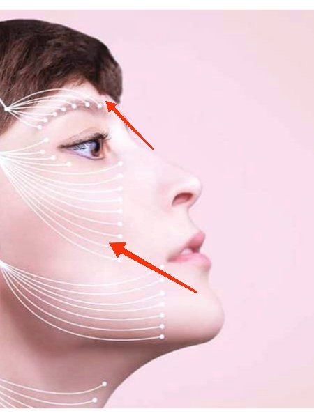 Model Face: The Basic Exercises for All » Model Face - Look Smarter ...