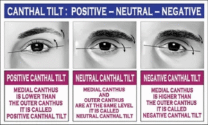The Truth About Negative Eye Shape: Can You Really Exercise Your Way to ...